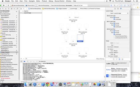 Xcode Launch Screen Image Size For All Ios Screen Sizes Stack Overflow