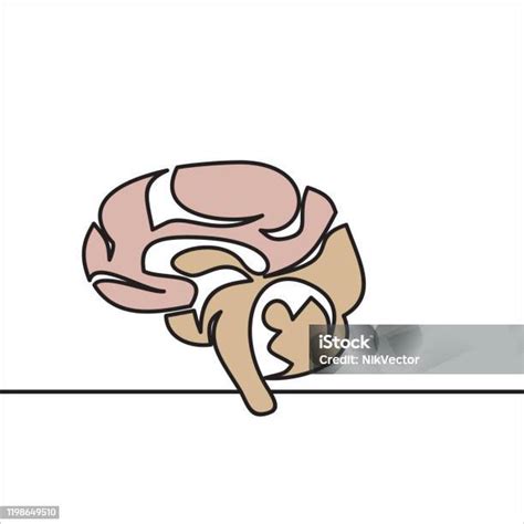 벡터의 선형 뇌 아이콘입니다 건강관리와 의술에 대한 스톡 벡터 아트 및 기타 이미지 건강관리와 의술 과학 교육 Istock