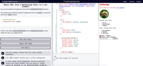 freecodecamp review and guide 2021 career karma