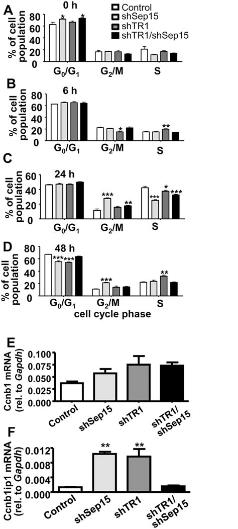 Cell Cycle Analysis Percent Of Cells In Each Cell Cycle Phase As Download Scientific Diagram
