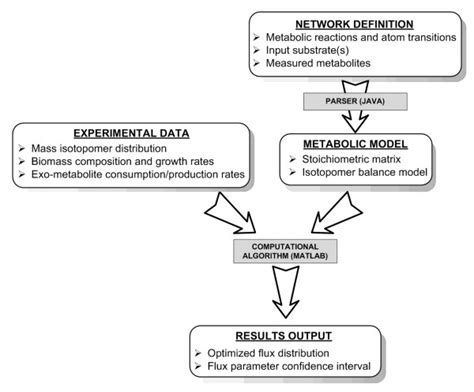 Workflow Of OpenFLUX The Software Consists Of 2 Components Shaded Download Scientific Diagram