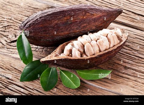 Open Cocoa Pod Stock Photos Open Cocoa Pod Stock Images Alamy