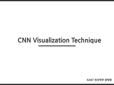 Cnn Visualization Pdf