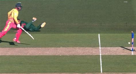 T20 World Cup 2022 [watch] Shakib Al Hasan Pulls Off Stunning Run Out To Dismiss Sean Williams