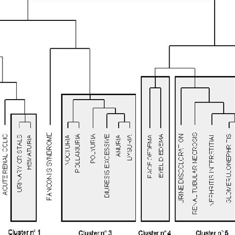 Html Page Describing Clustering Of 20 Urinary System Disorder Terms