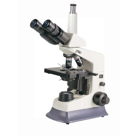 China Laboratory Labeled Compound Microscope Wide Field Microscopy Eyepiece Wf10x China