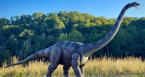 The Fascinating World Of Long Neck Dinosaurs Gecai Culture