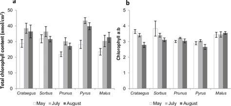 Differences In Leaf Chlorophyll Content Of Five Different Tree Species Download Scientific