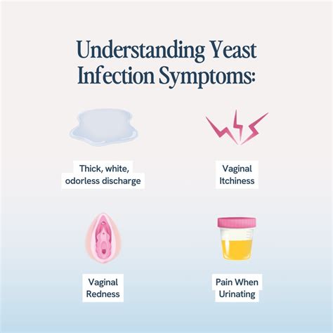 Yeast Infection Symptoms Chart Vaginal Infections And Fertility An