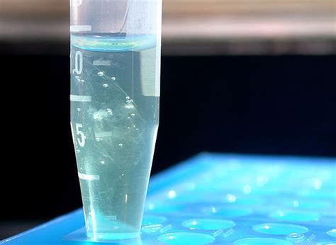 Suyatno Rindang Farmasis Prinsip Dan Metode Isolasi Dna Plasmid