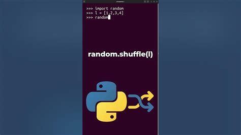 randomly shuffling a python list python coding youtube