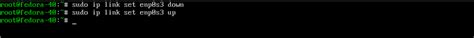 How To Manage Network Interfaces On Fedora 40 Devtutorial