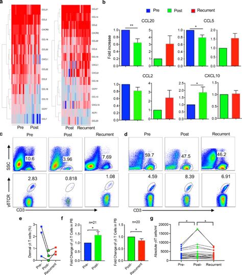 Dynamic Block Scale Bar