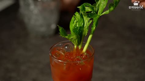 해장으로 먹는 칵테일 토마토로 만드는 해장칵테일 2가지 레드아이and블러디메리