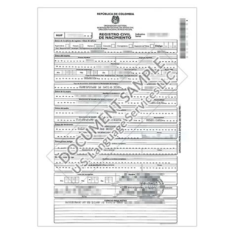 Certificado De Nacimiento Coreano