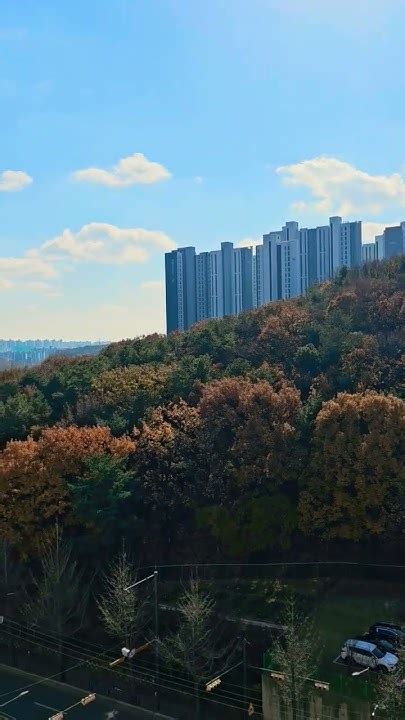 인생 뭐있나먹고싶은거먹고가고싶은데가고 보고싶은 이보며행복하게사는게 그게 인생이지💮 Youtube