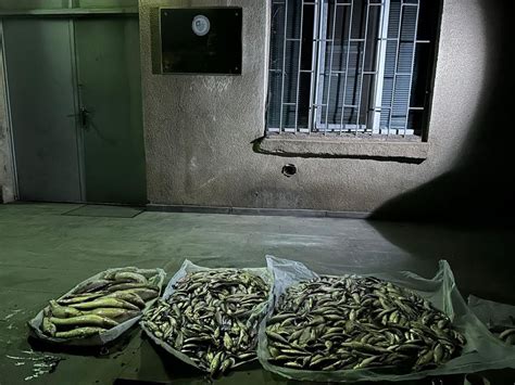 სსდ გარემოსდაცვითი ზედამხედველობის დეპარტამენტი