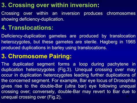 Ppt On Duplication Production And Uses Ppt