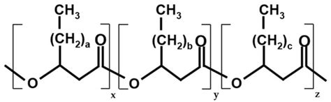 Molecules Free Full Text Natural Polyhydroxyalkanoates—an Overview Of Bacterial Production