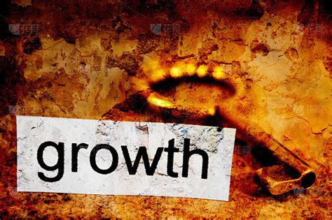 增长的概念