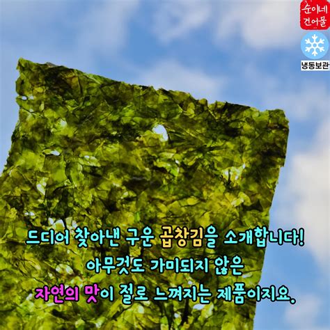 중부시장 순이네건어물 제대로 구운 무가미 곱창돌김 재래김 명품 신안 선물세트 김밥김 도시락김 중부시장 도매 건어물