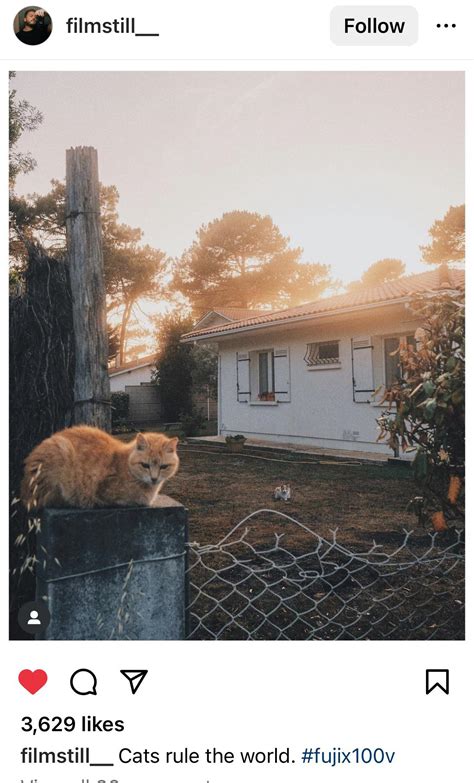 how to make hazy light effect like this photo is it done through post