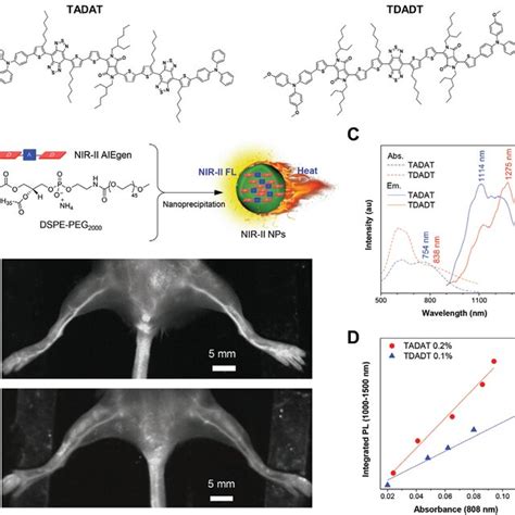 A Schematic Diagram Of The Dpp‐nf Nps For Smart Pdt No Release