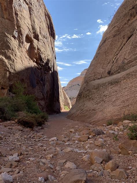 Capitol Gorge Trail Capitol Reef National Park Utah United States