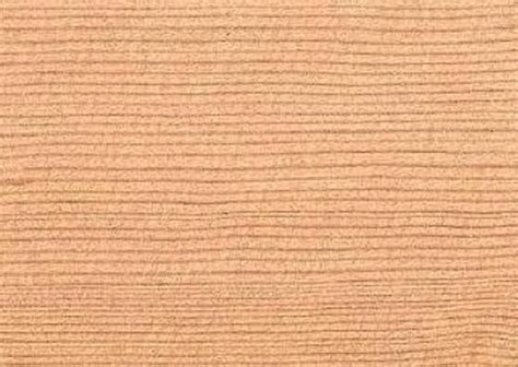 Western Hemlock Timber Characteristics And Applications