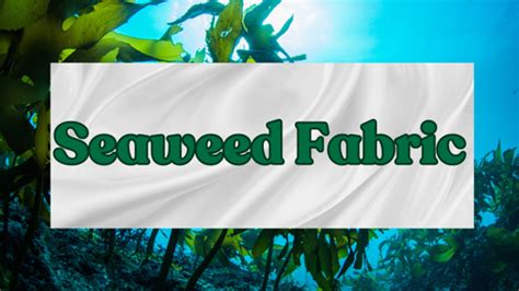 Whats Seaweed Fabric Properties And Applications For Baseball Cap