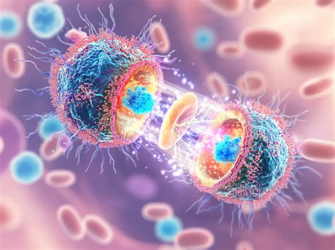 多发性骨髓瘤是癌症还是血液病 多发性骨髓瘤 骨髓瘤 肿瘤疾病大全 癌症肿瘤科普知识 有来医生