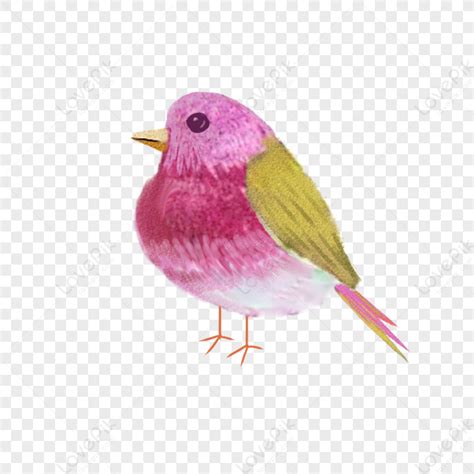 수채화 일러스트 멀티 컬러 만화 조류작은 가지색깔 Png 일러스트 무료 다운로드 Lovepik