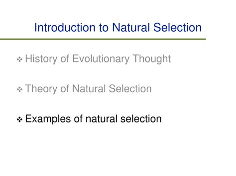 Ppt Evolution And Natural Selection Powerpoint Presentation Free Download Id8165106