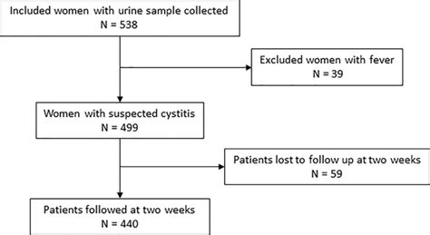 Pyelonephritis Plos One