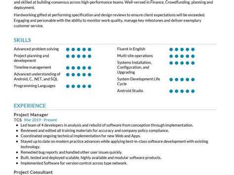 Project Manager CV Template In 2025 ResumeKraft
