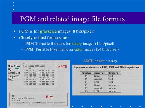 Pgm Format Cs474674 Prof Bebis Ppt Download