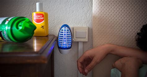 Should We Be Worried About A Malaria Outbreak In The Us The Brink Boston University