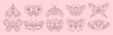 트랜드 한 나비 세트 분홍색 배경에 다양한 나비 디자인 모음입니다 다양한 스타일과 크기를 특징으로 하는 빨간색 윤곽선 벡터 일러스트 레이 션 경외감에 대한 스톡 벡터 아트
