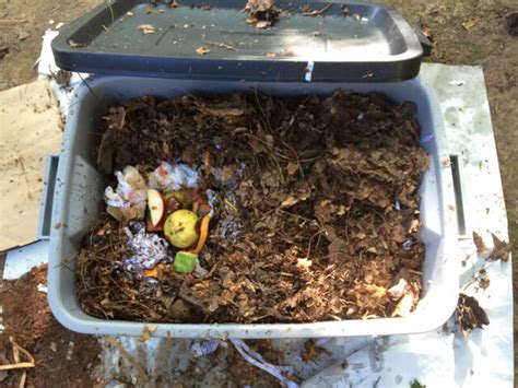 How To Make A Simple Worm Bin Gardens That Matter