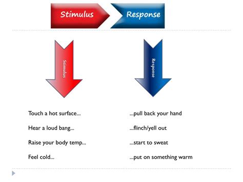 Ppt Stimulus And Response Powerpoint Presentation Free Download Id 6524215