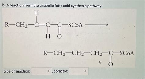 Solved For Each Of The Unbalanced Reactions Shown Below