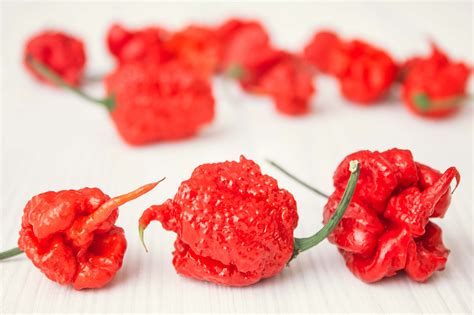 Carolina Reaper Is The Current Hottest Pepper But Whos Next Grow