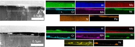 Stem Haadf Micrographs And Corresponding Eds Chemical Maps From The Download Scientific Diagram