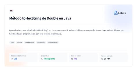 Conversión De Double A Hexadecimal En Java Tutoriales De Programación