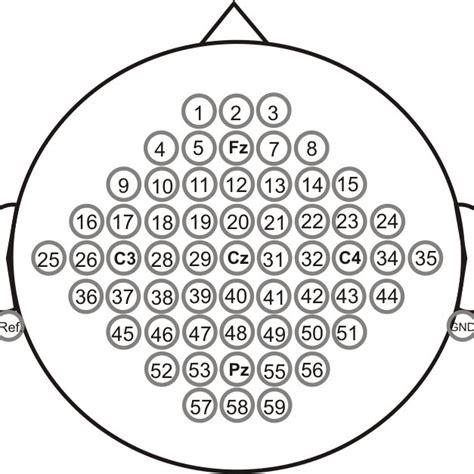 Pdf A Comparison Between Using Ecog And Eeg For Direct Brain Communication