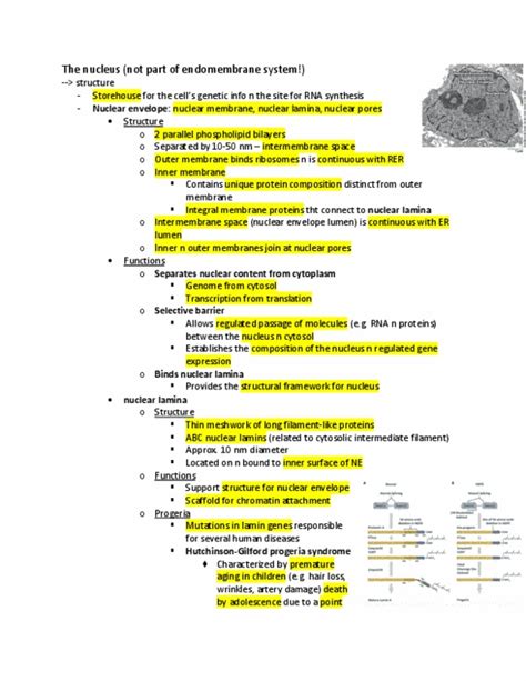 MCB 2050 Mcb After Midterm Notes OneClass