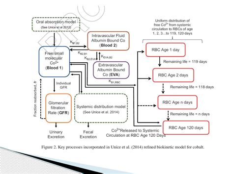 Update On Cobalt Toxicity Uc Irvines Department Of Medicine