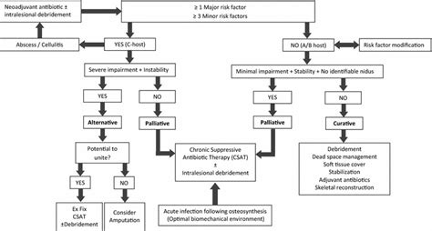 Treatment Selection Algorithm Download Scientific Diagram