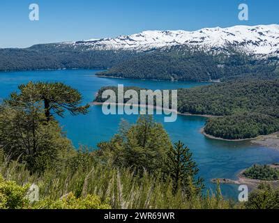 Upper Section Of Sierra Nevada Trail Lake Conguillio Araucaria Forest Conguillio National