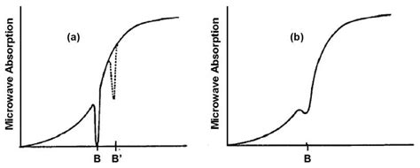 32 Model Of Saturation Transfer The Effect Of Rotational Motion On